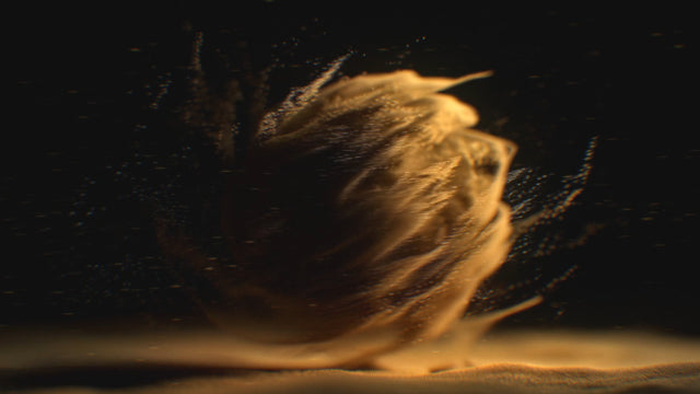 Sample 1296 – D Design Company