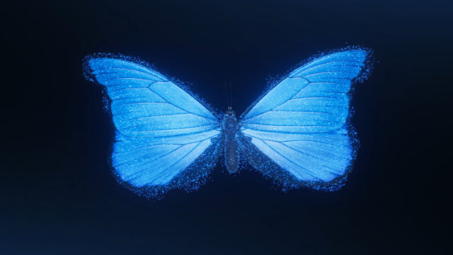 Sample 1297 – D Design Company